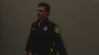 Florida Highway Patrol (SAHP) – Pyro's Dev Shop